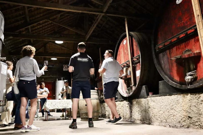 Porto: Douro Valley, 2 Wineries, Lunch & Private Boat Trip - Final Winery Visit and Return to Porto