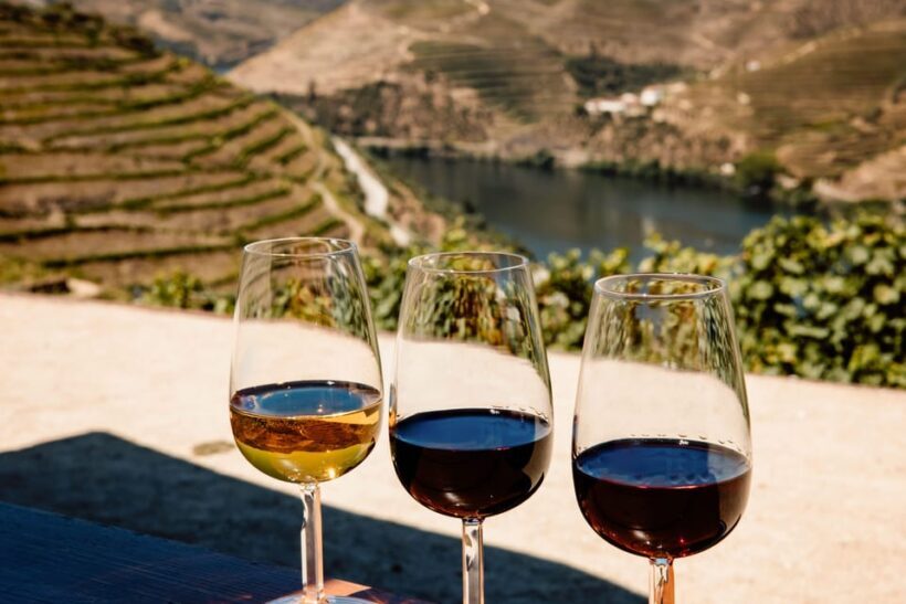 Porto: Douro Valley & Amarante Wine, Food & River Tour - Final Thoughts