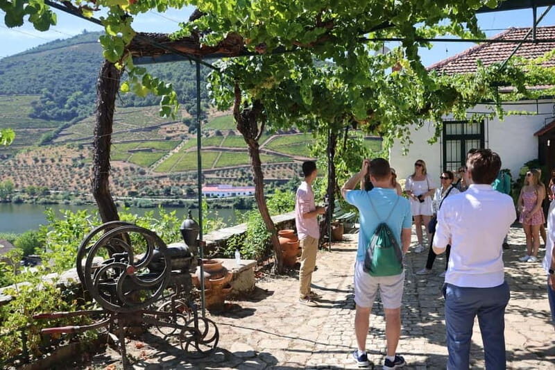 Porto: DOURO VALLEY and AMARANTE City Half-day Tour - Key Points