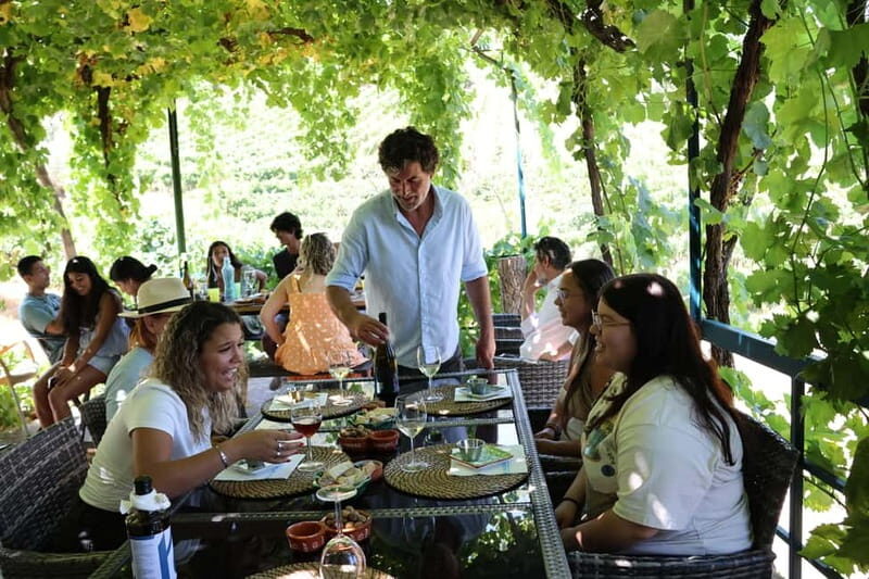 Porto: DOURO VALLEY and AMARANTE City Half-day Tour - What Travelers Are Saying
