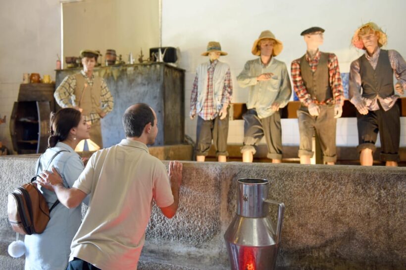 Porto: Douro Valley Day Trip with Lunch and Favaios Village - FAQs