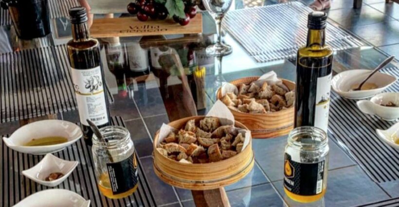 Porto: Douro Valley Day Trip with Wine Tasting and Lunch - The Scenic Journey from Porto