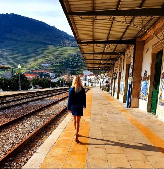 Porto: Douro Valley Day Trip with Wine Tasting and Lunch - Wine Tasting at a Family-Run Vineyard