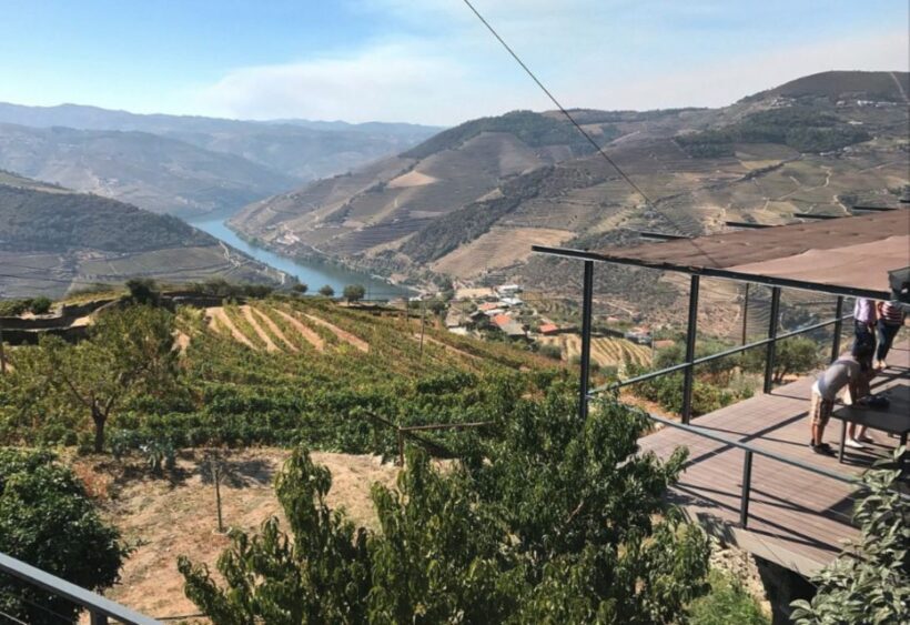 Porto: Douro Valley Day Trip with Wine Tasting and Lunch - A Traditional Portuguese Lunch