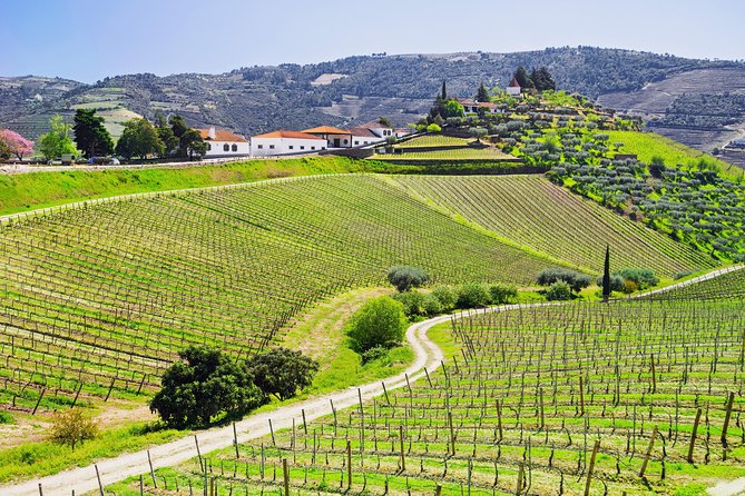 Porto Douro Valley Full-Day Wine Tasting, River Cruise and Lunch - Meeting and Pickup