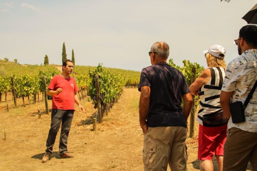 Porto: Douro Valley History & Wine Tour with Cruise & Lunch - Porto: Douro Valley History & Wine Tour with Cruise & Lunch — An Authentic Taste of Portugal’s Vineyards