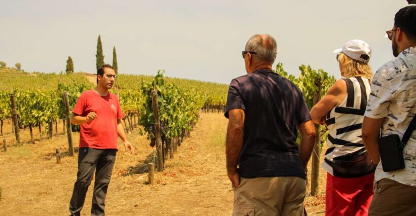 Porto: Douro Valley History & Wine Tour with Cruise & Lunch - Key Points