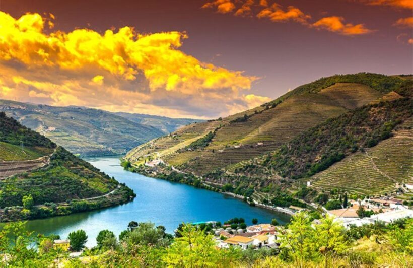 Porto: Douro Valley Private Full-Day Tour - Introduction: A Taste of Portugal’s Scenic Heart