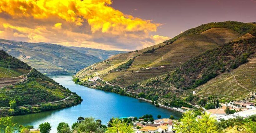 Porto: Douro Valley Private Full-Day Tour - The Value of This Tour
