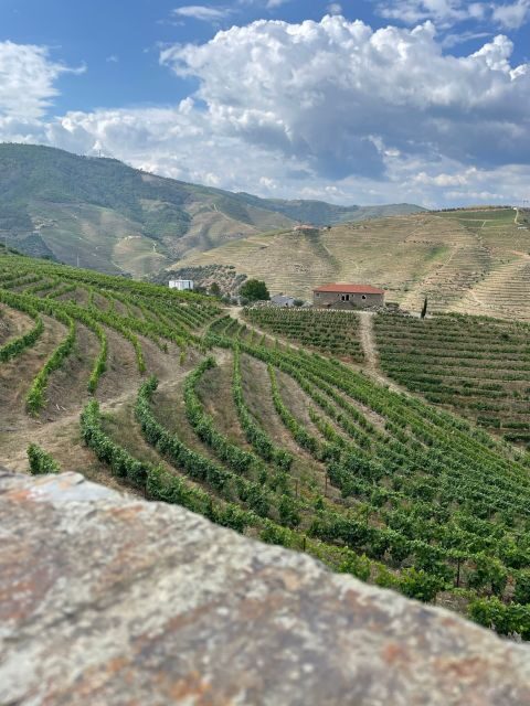 Porto: Douro Valley Private Tour 2 Vineyards & River Cruise - Key Points