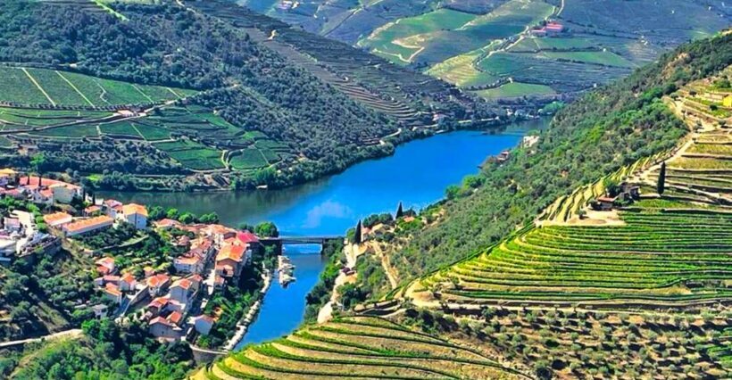 Porto: Douro Valley Private Tour 2 Vineyards & River Cruise - An In-Depth Look at the Douro Valley Private Tour