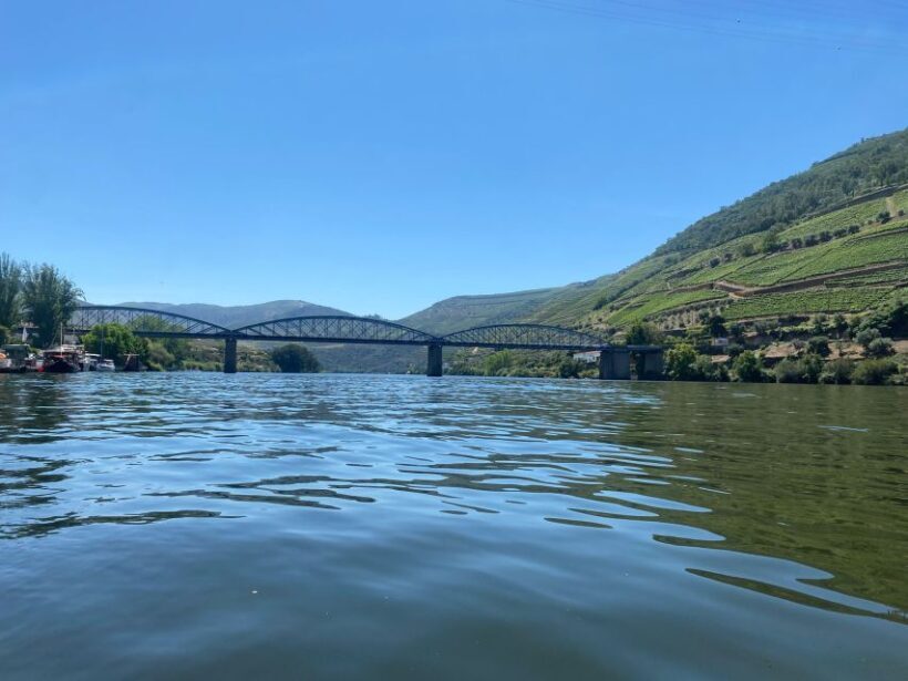 Porto: Douro Valley Private Tour 2 Vineyards & River Cruise - Final Thoughts