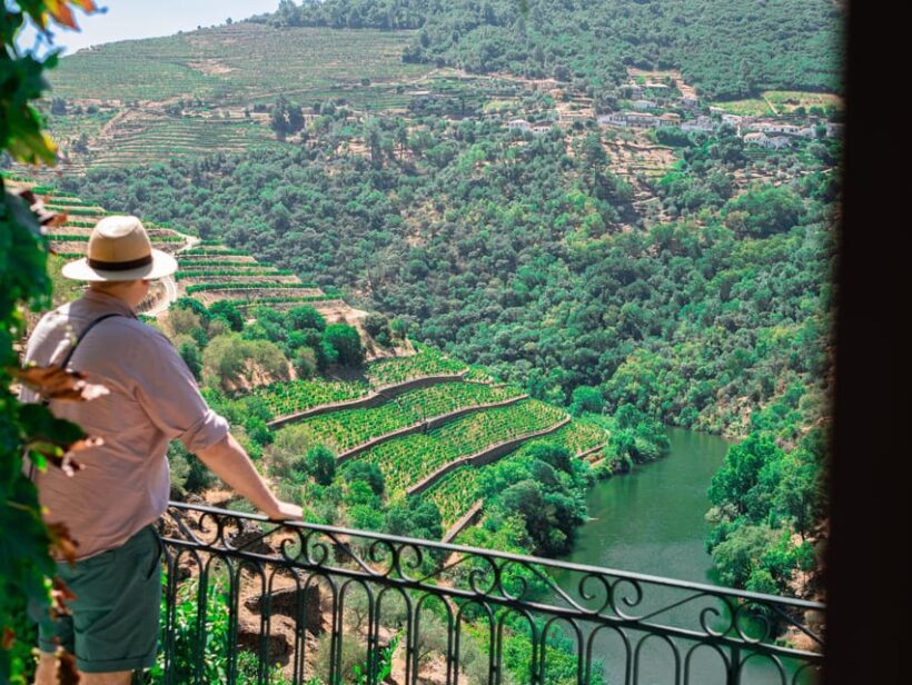 Porto: Douro Valley Private Tour, Tastings, Cruise & Lunch - Who Is This Tour Best Suited For?