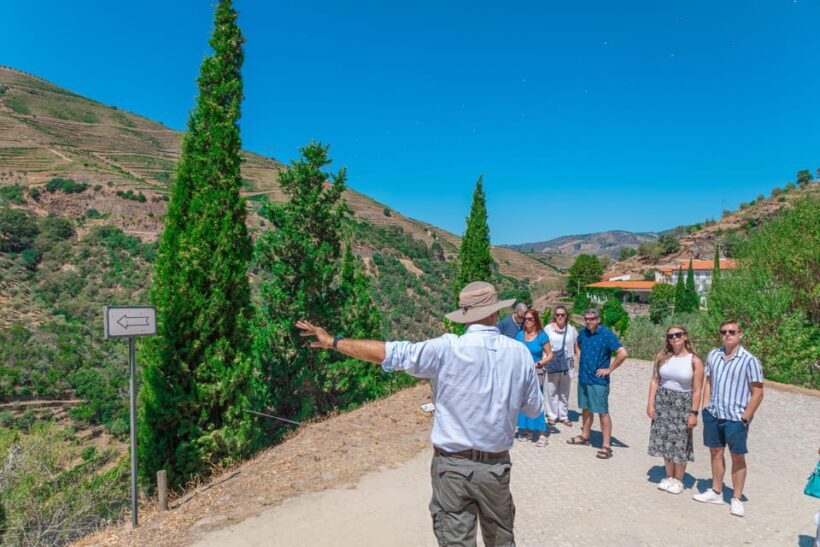 Porto: Douro Valley Private Tour, Tastings, Cruise & Lunch - FAQs