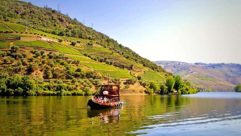 Porto: Douro Valley Tour at 2 Wineries with Lunch and Cruise - An In-Depth Look at the Tour Experience