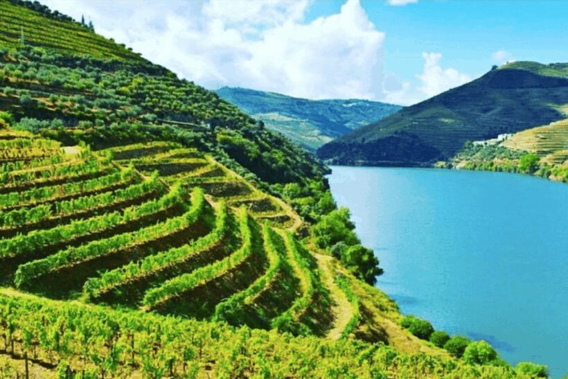 Porto: Douro Valley Tour w/ 3 Tastings, Lunch, & Opt. Cruise - Starting Point and Transportation