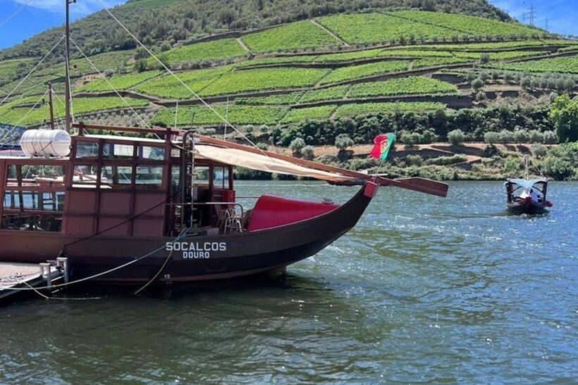 Porto: Douro Valley Tour w/ 3 Tastings, Lunch, & Opt. Cruise - The Wine and Port Tastings