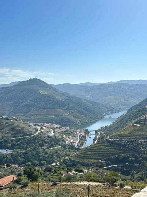 Porto: Douro Valley Tour w/ 3 Tastings, Lunch, & Opt. Cruise - Additional Stops and Local Flavor