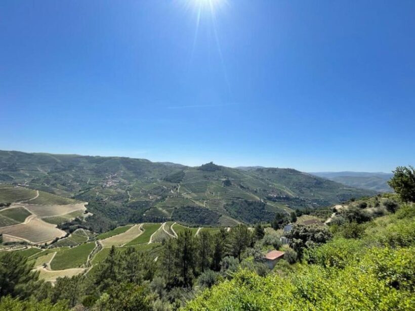 Porto: Douro Valley Tour with 2 Wineries, Lunch and Cruise - Key Points