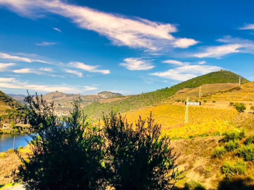 Porto: Douro Valley Tour with 2 Wineries, Lunch and Cruise - The River Cruise