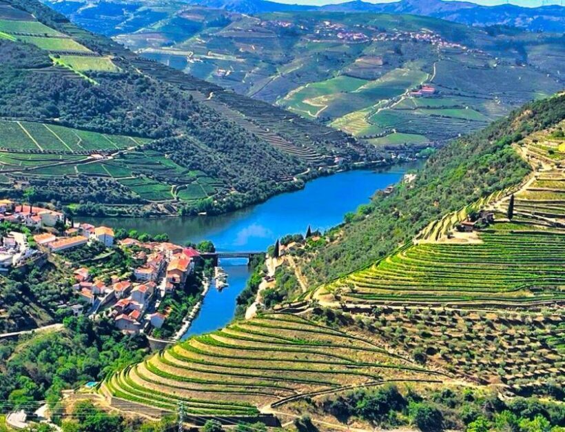 Porto: Douro Valley Tour with 2 Wineries, Lunch and Cruise - The Regional Lunch