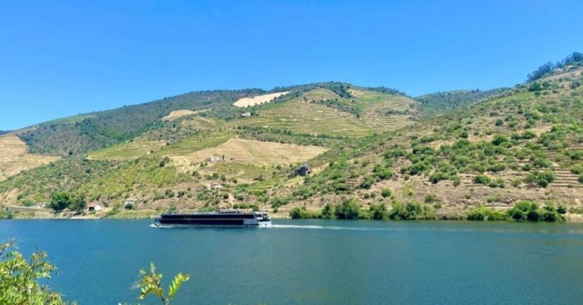 Porto: Douro Valley Tour with 2 Wineries, Lunch and Cruise - Price and Value