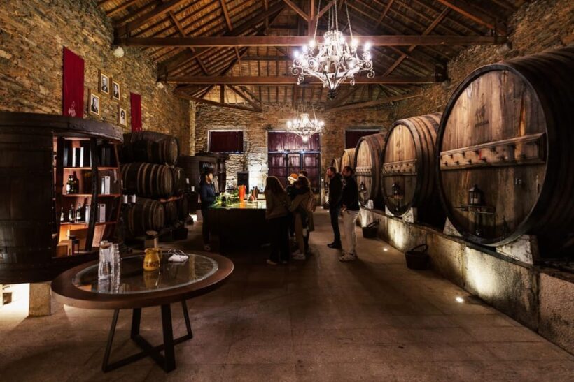 Porto: Douro Valley Tour with 2 Wineries, Lunch and Cruise - Final Words
