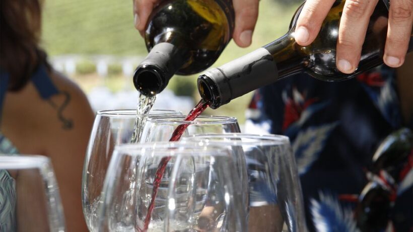 Porto: Douro Valley Tour with 3 vineyards and lunch. - What Makes This Tour Stand Out?
