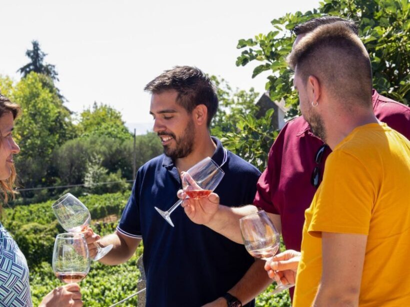 Porto: Douro Valley Tour with 3 vineyards and lunch. - Price, Duration, and Value