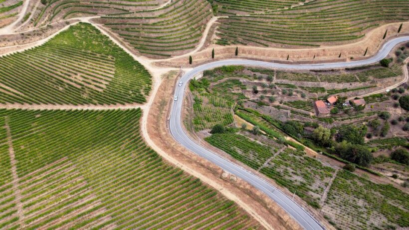 Porto: Douro Valley Tour with 3 vineyards and lunch. - Practical Tips for Travelers