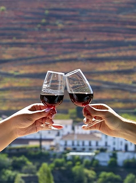 Porto: Douro Valley Tour with 3 vineyards and lunch. - Who Will Enjoy This Tour?