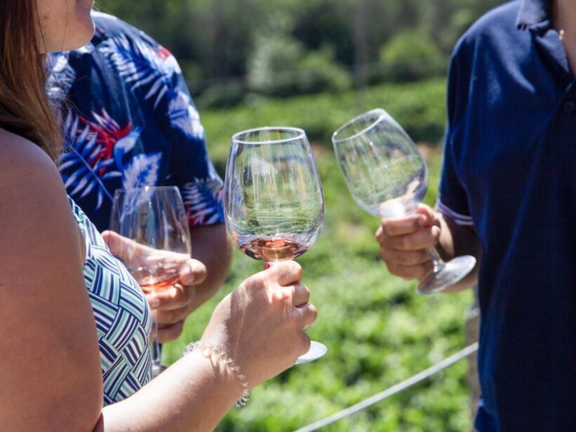 Porto: Douro Valley Tour with 3 vineyards and lunch. - The Sum Up