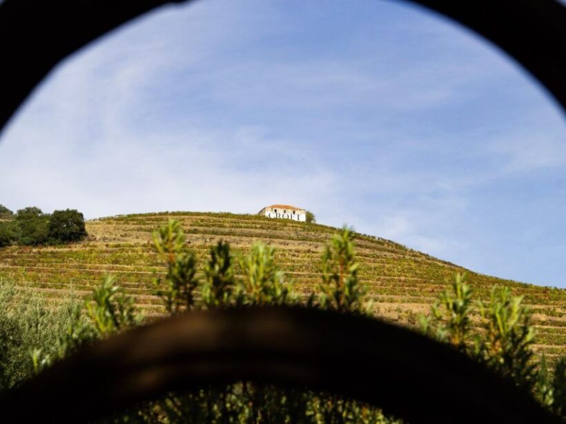 Porto: Douro Valley Tour with 3 vineyards and lunch. - FAQ