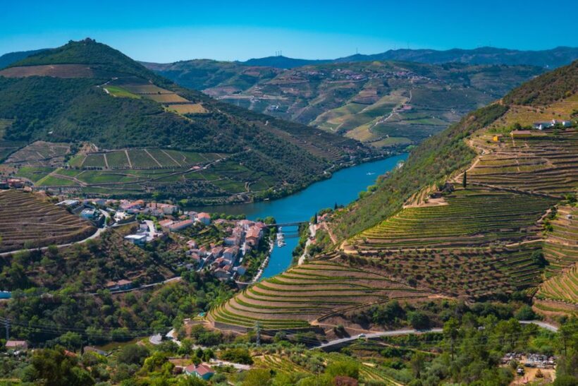 Porto: Douro Valley Tour with Lunch, Boat Cruise & Tastings - Practicalities: Pricing, Duration, and Value
