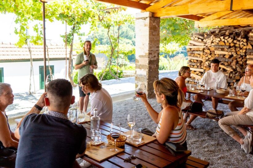 Porto: Douro Valley Tour with Lunch, Boat Cruise & Tastings - Authentic Experiences and Reviews