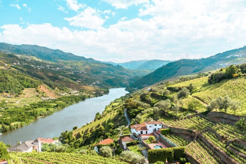 Porto: Douro Valley Tour with Wine Tasting, Cruise and Lunch - A Full Breakdown of the Douro Valley Tour
