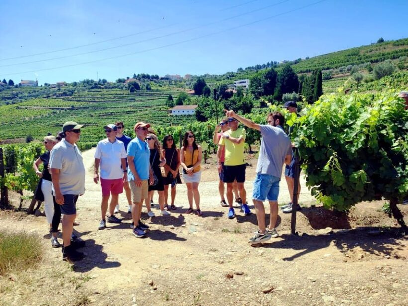 Porto: Douro Valley Vineyards Tour with Lunch & River Cruise - Authentic Experiences and Travel Tips