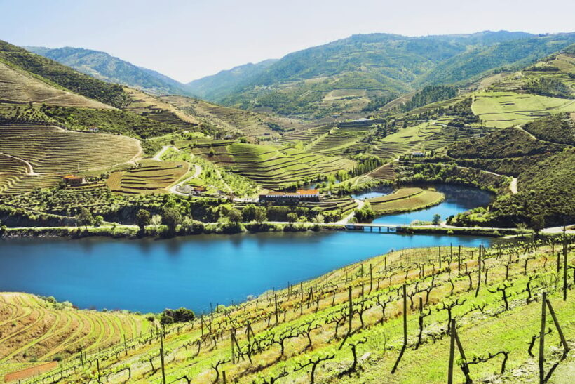 Porto: Douro Valley Wine & History Tour with Cruise & Lunch - Who Should Consider This Tour?
