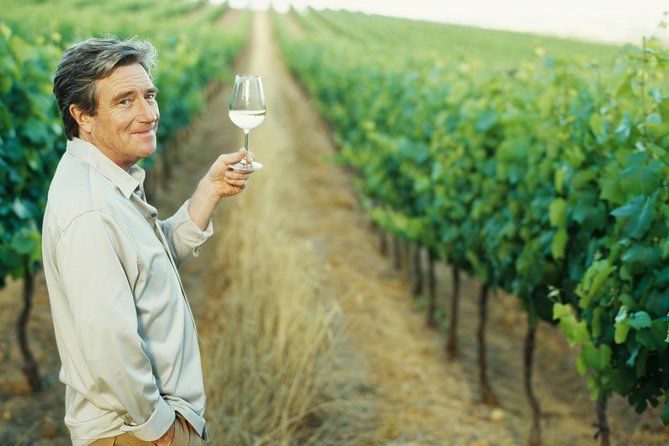 Porto: Douro Valley Wine Tour Including Lunch - Exploring Prestigious Wineries