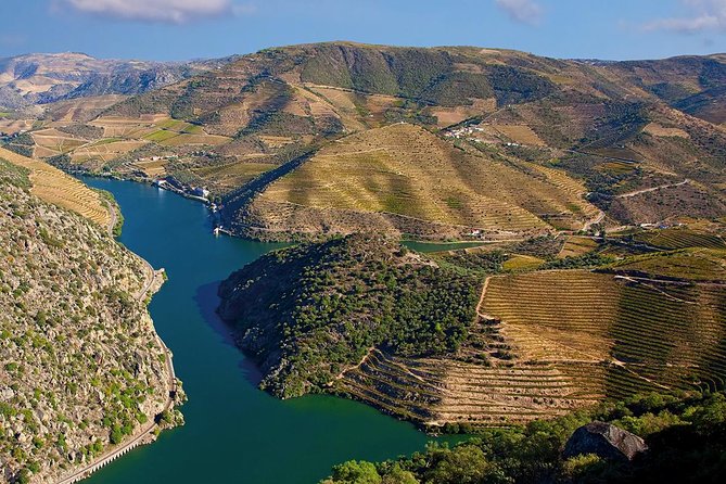 Porto: Douro Valley Wine Tour Including Lunch - Discovering Douro Valley Varietals