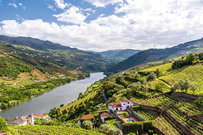 Porto: Douro Valley Wine Tour Including Lunch - Indulging in a Traditional Lunch