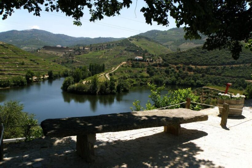 Porto: Douro Valley Wine Tour - What to Expect from the Douro Valley Wine Tour