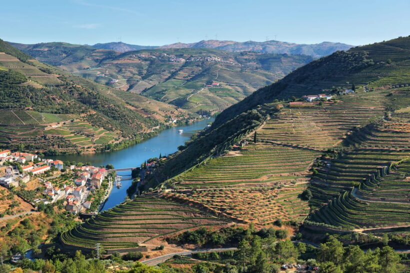 Porto: Douro Valley Wine Tour with a Sommelier & Boat Trip - The Full Experience: What to Expect