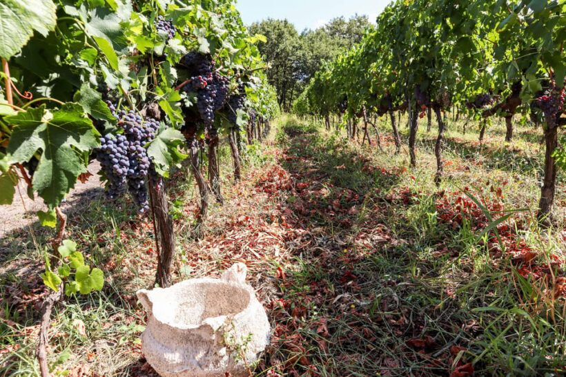 Porto: Douro Valley Wine Tour with a Sommelier & Boat Trip - Frequently Asked Questions