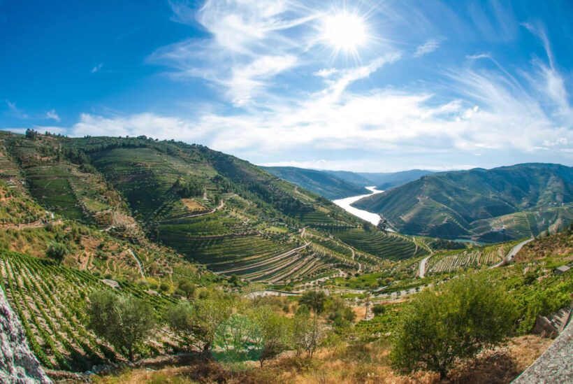 Porto: Douro Valley Wine Tour with Lunch, Tastings & Cruise - Who Will Love This Tour?