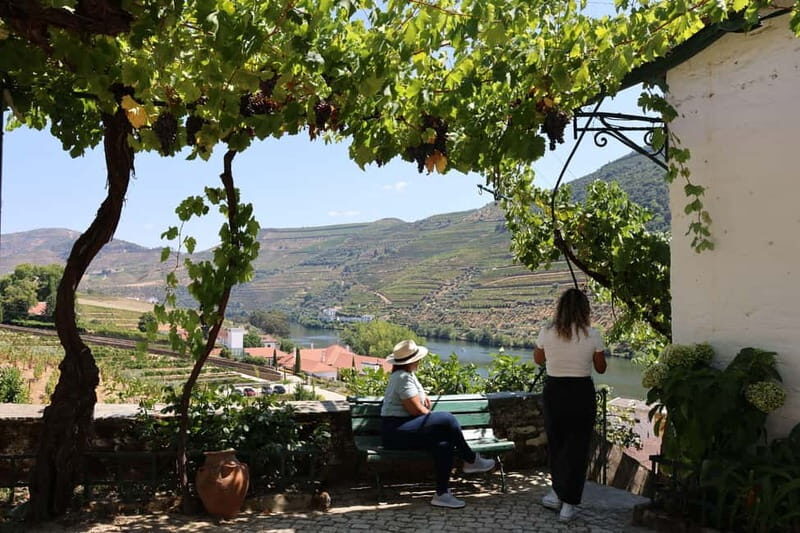 Porto: Douro Valley with Small Wineries, Lunch and Boat Tour - Analyzing Value and Cost