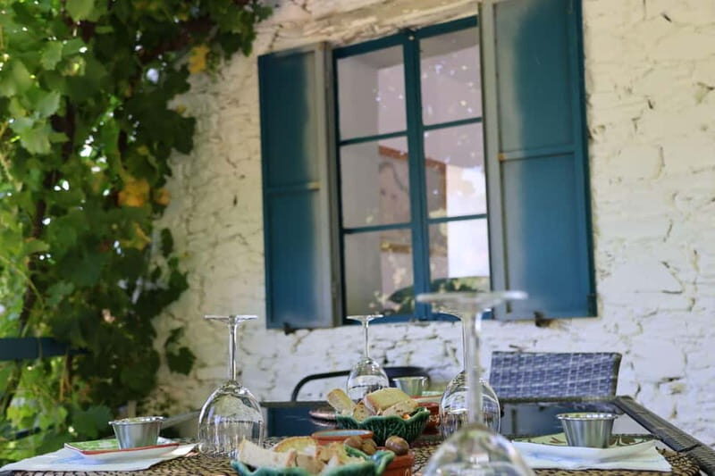 Porto: Douro Valley with Small Wineries, Lunch and Boat Tour - Practical Tips for Travelers