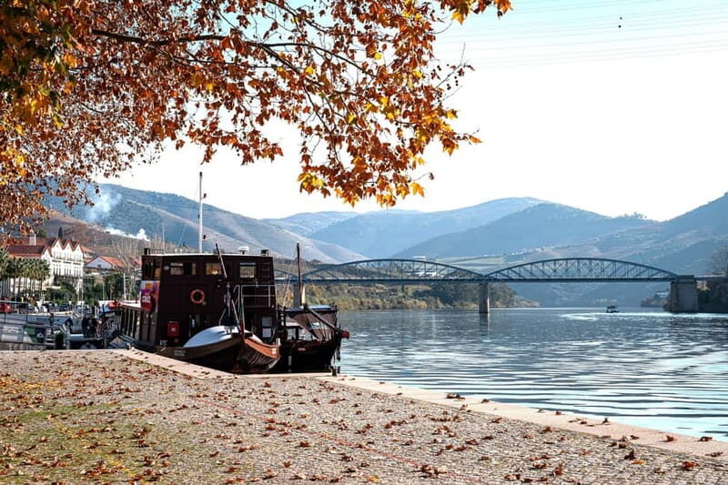Porto: Douro Wine Tour with Lunch and River Cruise - An Authentic Day in the Douro Valley