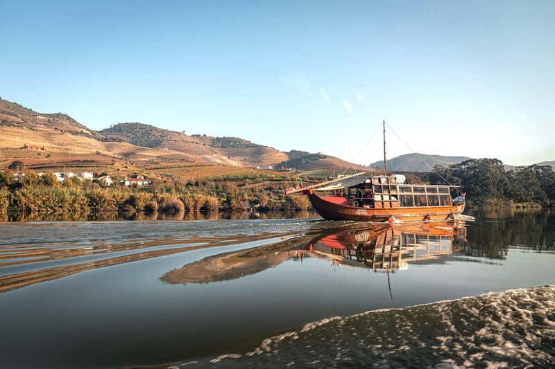 Porto: Douro Wine Tour with Lunch and River Cruise - Who Would Love This Tour?