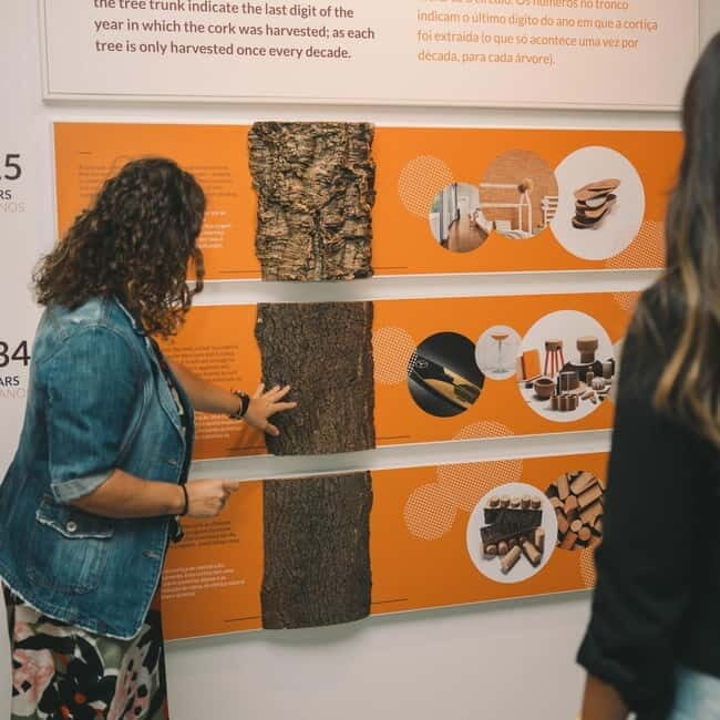 Porto: Entry Ticket at WOW - Planet Cork Museum - The Experience in Context